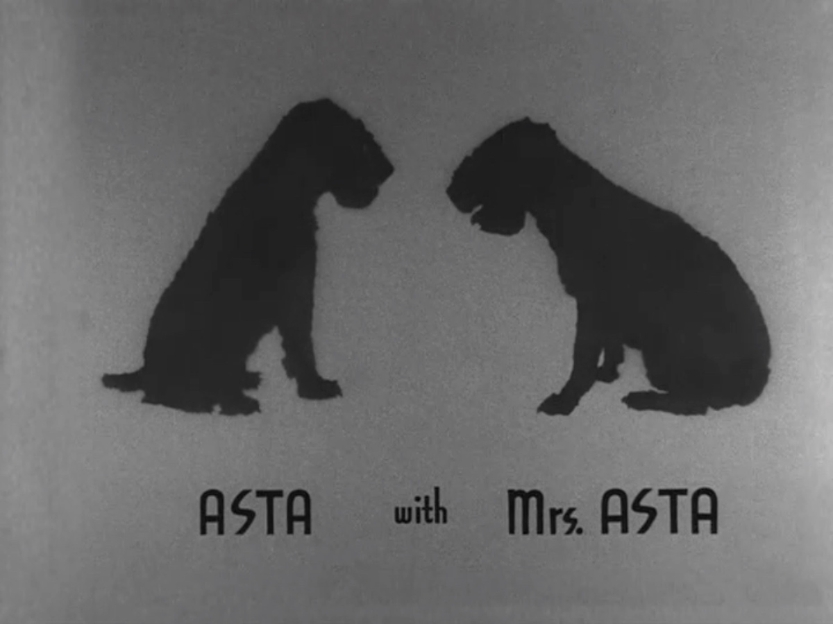 After The Thin Man (1936) – The Blonde at the Film