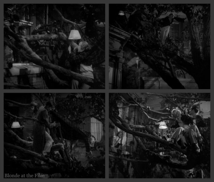 Woman Chases Man (1937) – The Blonde at the Film
